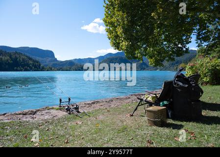 Three Ducks on a Forest Mountain Lake Stock Photo - Alamy