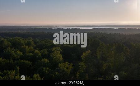 Mist over a forest during suset Stock Photo - Alamy