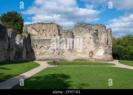 Reading Abbey, Ruins of the Chapter House, c. 1870 Stock Photo - Alamy