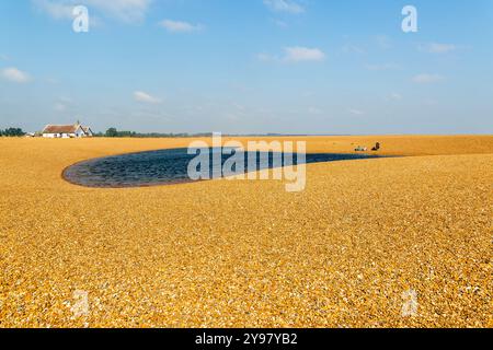 Ridge and lagoon formed on beach at Shingle Street, Hollesley Suffolk ...