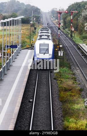 15 October 2024, Schleswig-Holstein, Hattstedt: The sun sets behind a ...