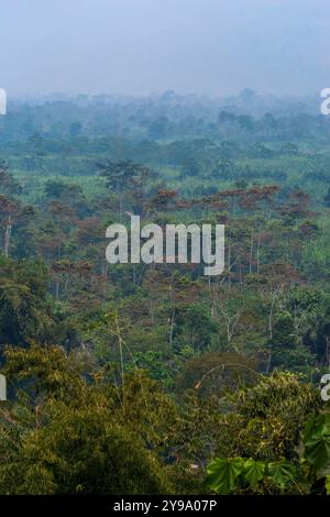 Smoke caused by forest fires in the Peruvian Amazon Stock Photo - Alamy