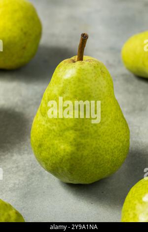 Raw Organic Green Bartlett Pears in a Bunch Stock Photo - Alamy