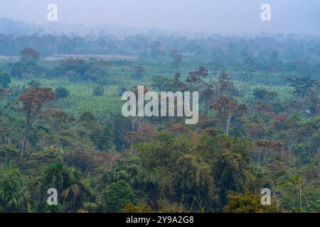 Smoke caused by forest fires in the Peruvian Amazon Stock Photo - Alamy