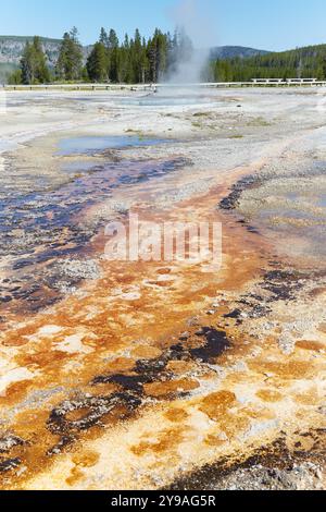The Upper Geyser Basin is home to 150 geysers in a single square mile ...