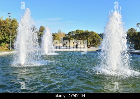 Three jets of a static fountain spurting from the water from the bottom ...