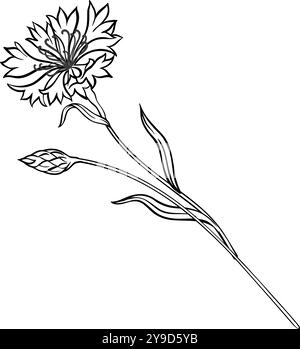 Cornflower Plant Isolated Outline Illustration Stock Vector Image & Art ...