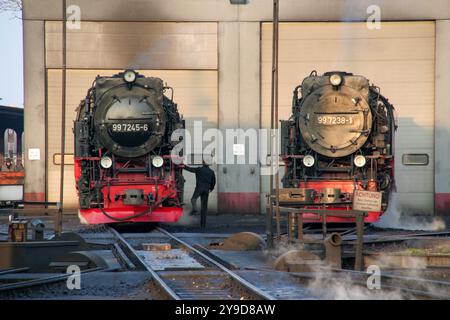 Steam locomotives at Wernigerode on the Harz Narrow Gauge Railway Stock ...