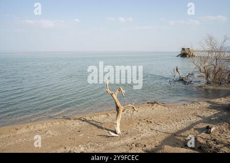 Lake Afrera (also transliterated as Lake Afdera) is a hypersaline lake ...