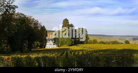 France, Marne, Champagne Region, Boursault, Chateau de Borsault Stock ...