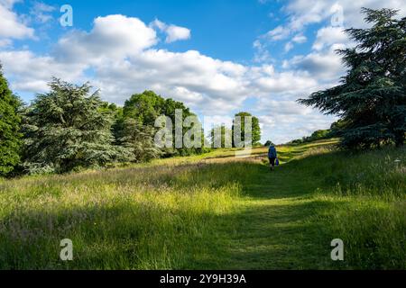 Paths across the Malvern Commons in Malvern Worcestershire Stock Photo ...