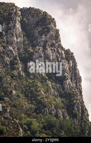 Limestone cliffs with unique erosion patterns and lush vegetation ...