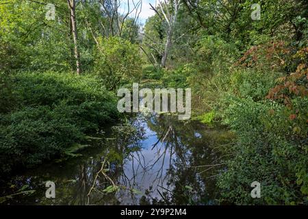 river Deben Loudham Suffolk UK Stock Photo - Alamy