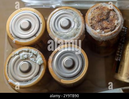 A selection of leaking D cell alkaline batteries in New York on Sunday ...