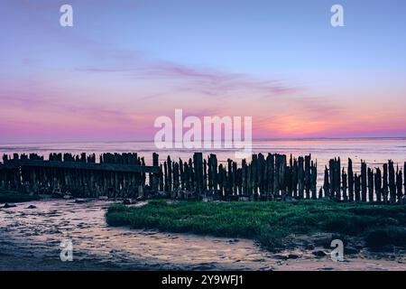 Sundown landscape at beautiful mudplanes of the Wadden sea UNESCO ...