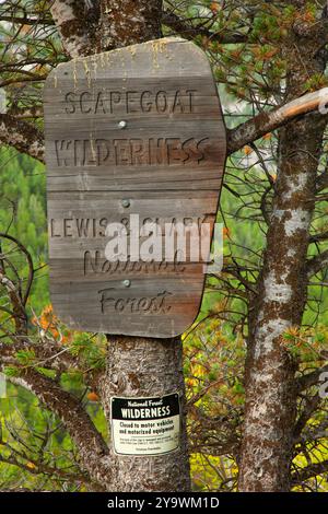 Wilderness boundary sign along Dearborn River Trail, Scapegoat ...