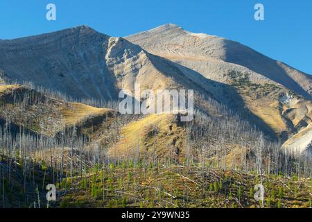 Sawtooth Range ridges along North Fork Teton River, Lewis and Clark ...