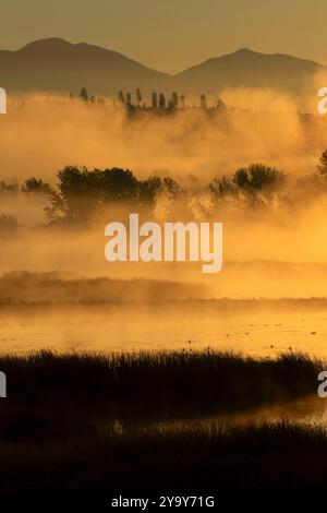 Myrtle Pond fog sunrise, Kootenai National Wildlife Refuge, Idaho Stock ...