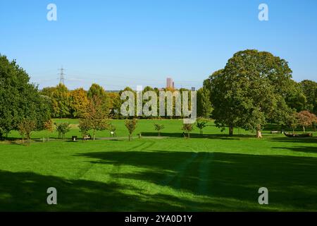 Autumn in Springfield Park London UK Stock Photo - Alamy
