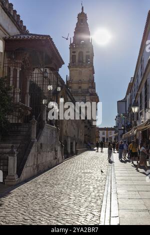 Long shadows of three people in different poses with their arms in the ...
