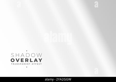 Vector illustration with shadow overlays on transparent background. Window frame shadows for ...