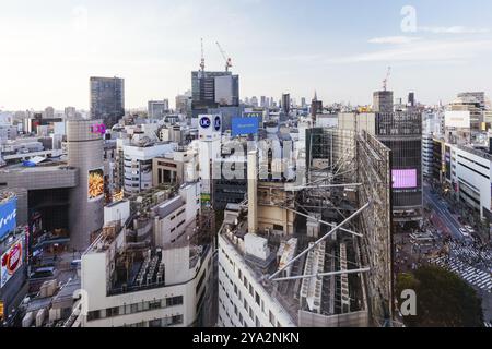 Crowds of people walk over Shibuya crossing during the golden hour ...