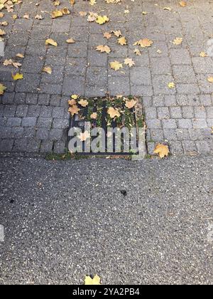 Inlet shaft for road drainage blocked by soil Stock Photo - Alamy