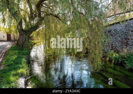 The river Eea in Cartmel village in the Lake district historically ...