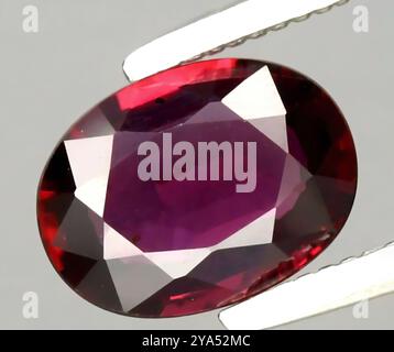 Radiant Oval-Cut Deep Red Natural Ruby Gemstone Captured in Light Stock ...