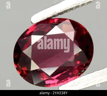 Radiant Deep Red Gemstone Captured in a Gleaming Light Reflection Stock ...
