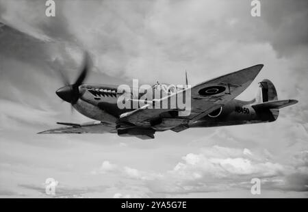 The Supermarine Spitfire Mark X, a high altitude photographic ...