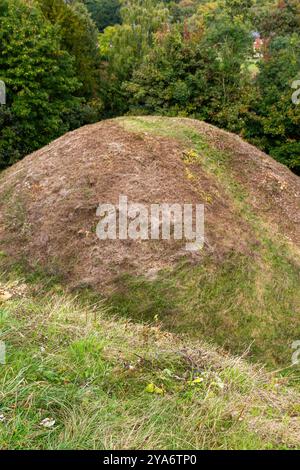 roman burial mounds Bartlow Cambridgeshire Stock Photo - Alamy