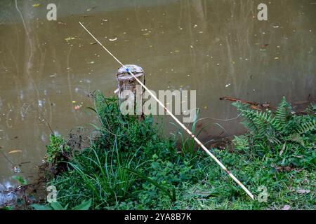 Rustic artisanal fishing with bamboo rod Stock Photo - Alamy