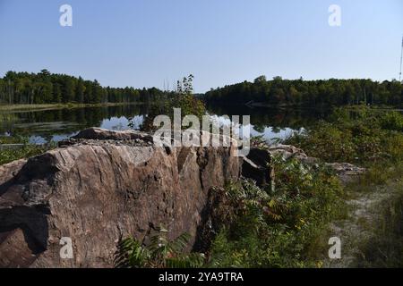 Bedrock of the Canadian pre Cambrian shield by a small calm summer lake ...