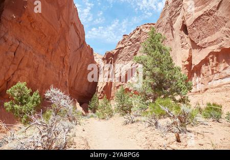 Utah's Kodachrome Basin State Park's rich red and caramel colored hues ...