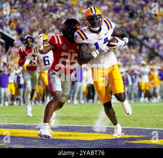 LSU tight end Trey'Dez Green (14) pulls in a touchdown reception ...
