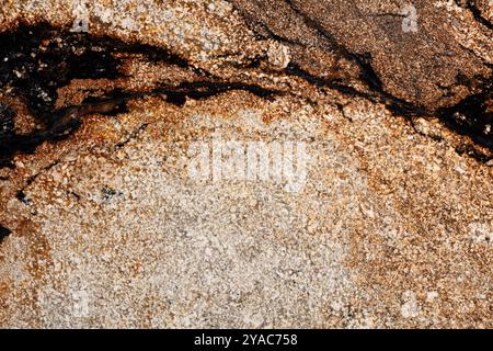 Sedna Gold natural polished granite stone slab for perfect interior ...