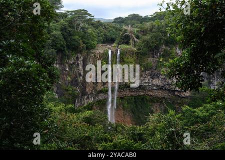 waterfall, jungle, mauritius, cascade, waterfalls, rainforest Stock ...