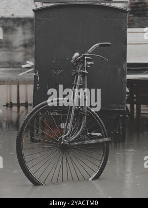 Red green and blue 3 wheeler rickshaw taxis line up in Galle Fort Sri ...
