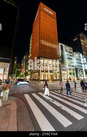 The illuminated facade of the Chanel flagship store in the Tokyo Ginza ...