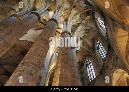 Interior views of the gem of Catalan gothic architecture, the Basilica ...