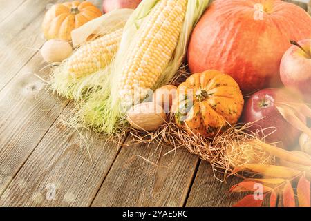 Happy Thanksgiving Day with pumpkin and nut on wooden table Stock Photo ...
