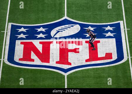 Chicago Bears safety Elijah Hicks (22) runs on the field during the ...