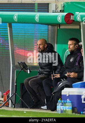 Coach Antonio Di Salvo (Germany) removes a paper airplane from the ...