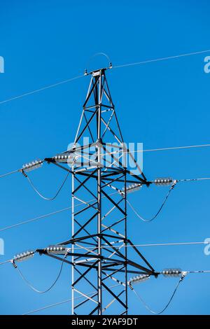 These structures are fundamental elements in the transmission of ...