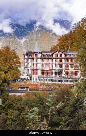 A beautiful shot of a river surrounded by trees on a sunny day Stock ...