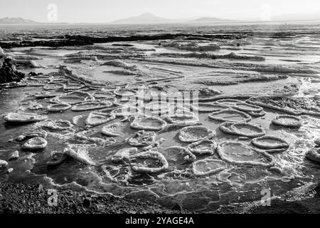 Pancake Ice Forming in the Bay of Whales, Ross Sea, Southern Ocean ...
