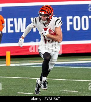 Cincinnati Bengals wide receiver Charlie Jones (15) during an NFL ...
