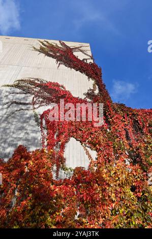 Building covered in vines and leaves, giving it a wild and untamed ...