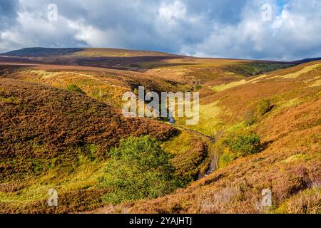 The Howden Moors of the Upper Derwent Valley in the Peak District ...